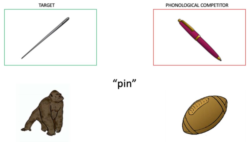 How Our Thoughts About Language Influence What We Hear | Young ...
