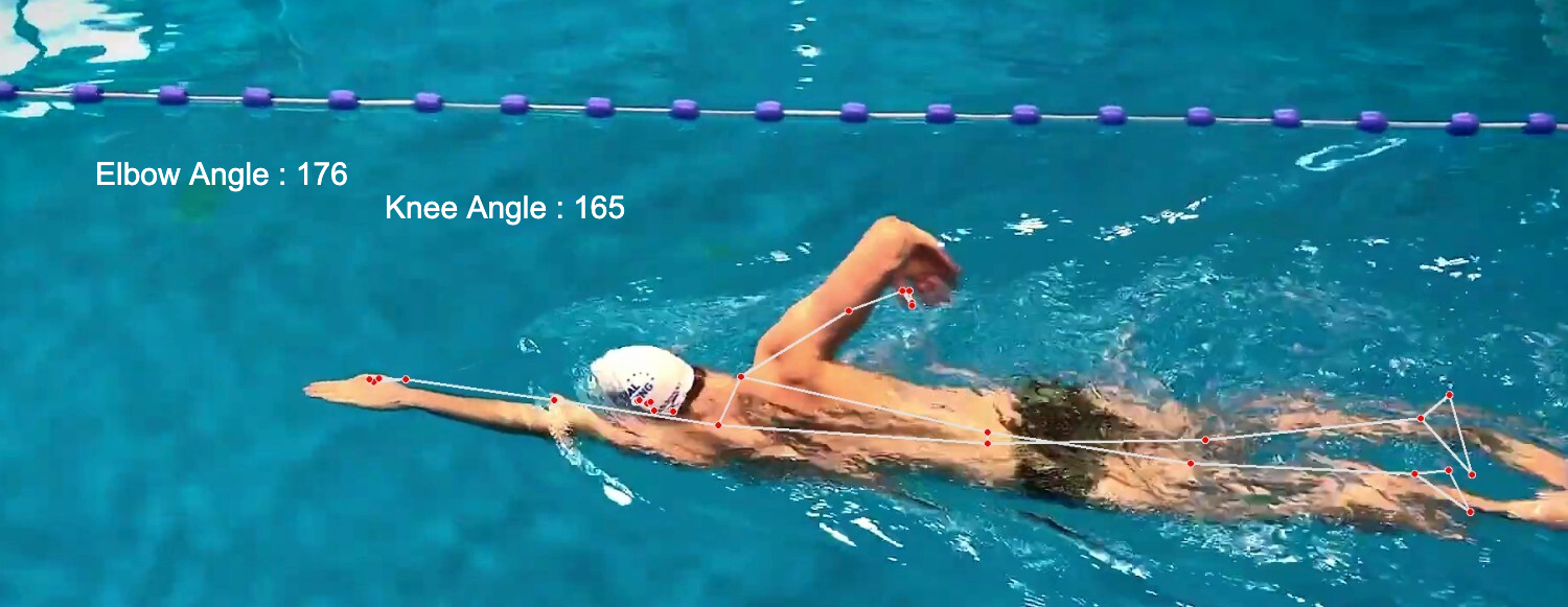 Swimming Stroke Analysis and Technique Improvement via Pose Estimation | Young Scientist Journal ...
